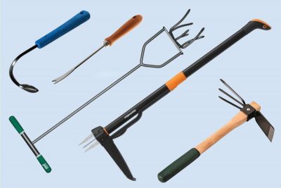 8 Best Dandelion Removal Tools And Weed Pullers