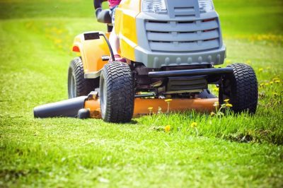 Expert Advice On The Best Time To Mow Lawn And Grass