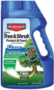 9 Best Fertilizer For Trees And Shrubs + How To Use Them
