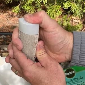 Best Citrus Tree Fertilizers 2023 | How & When To Use Them