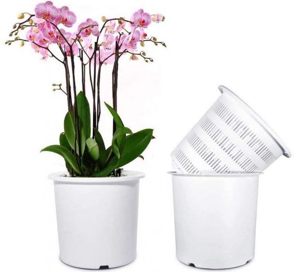 10 Best Orchid Pots & Containers Reviewed [+ Buyers Guide]