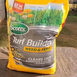 10 Best Weed And Feed For Lawns | How & When To Use Them