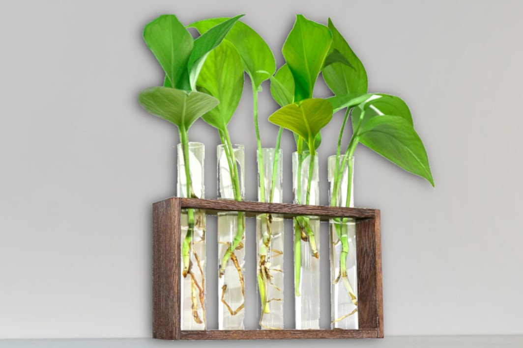 14 Best Plant Propagation Stations And Planter Test Tubes