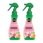 8 Best Orchid Fertilizers | When And How To Use Orchid Food