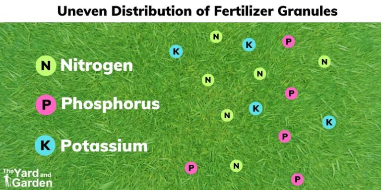 12 Best Liquid Lawn Fertilizers In 2023 And How To Use Them