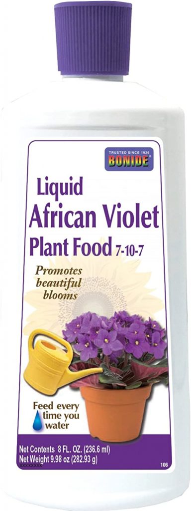 8 Best African Violet Fertilizers And How And When To Use Them