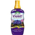 8 Best African Violet Fertilizers And How And When To Use Them