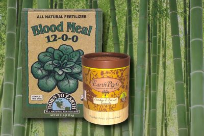 6 Best Fertilizer For Bamboo | How And When To Use Plant Food