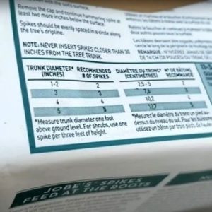 7 Best Evergreen Fertilizer | How And When To Use Them