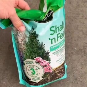 7 Best Evergreen Fertilizer | How And When To Use Them
