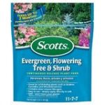 7 Best Evergreen Fertilizer | How And When To Use Them