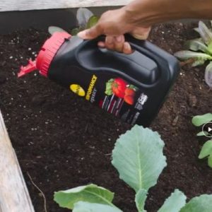 5 Best Fertilizer For Fig Trees | How And When To Use