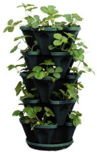 10 Best Strawberry Planters, Pots, And Towers