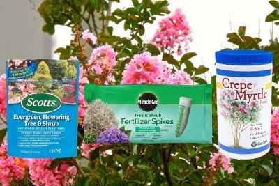 5 Best Fertilizers For Crepe Myrtle | How & When To Use