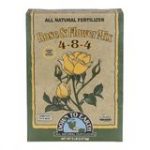 6 Best Fertilizer For Magnolia Trees | How And When To Use