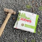 7 Best Fertilizer For Pine Trees | How And When To Use