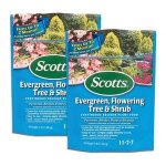 6 Best Fertilizer For Magnolia Trees | How And When To Use