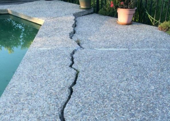 How To Get Rid Of Ground Squirrels In Your Yard