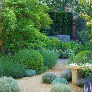 20 Boxwood Companion Plant Ideas For Beauty & Functionality