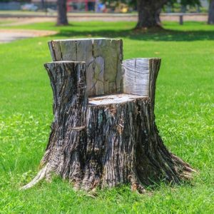 16 Ideas For A Tree Stump In Your Front Yard