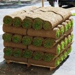 Pallet Of Sod Weight And Coverage | Per Roll And Pallet