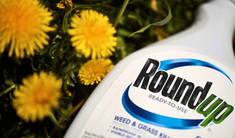 Does Roundup Go Bad Or Expire: The Truth Revealed