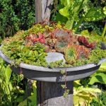 16 Ideas For A Tree Stump In Your Front Yard