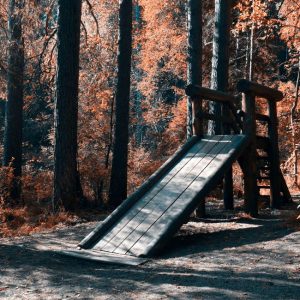 16 Ideas For A Tree Stump In Your Front Yard