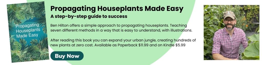 2-4-D Amine Mix Ratio Per Gallon | What Weeds Does It Kill