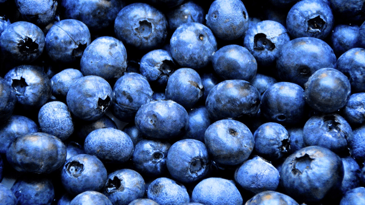 14 Best Blueberry Companion Plants To Grow (And 5 To Avoid)