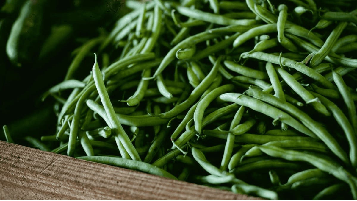 31 Best Companion Plants For Beans (And 5 To Stay Away From)