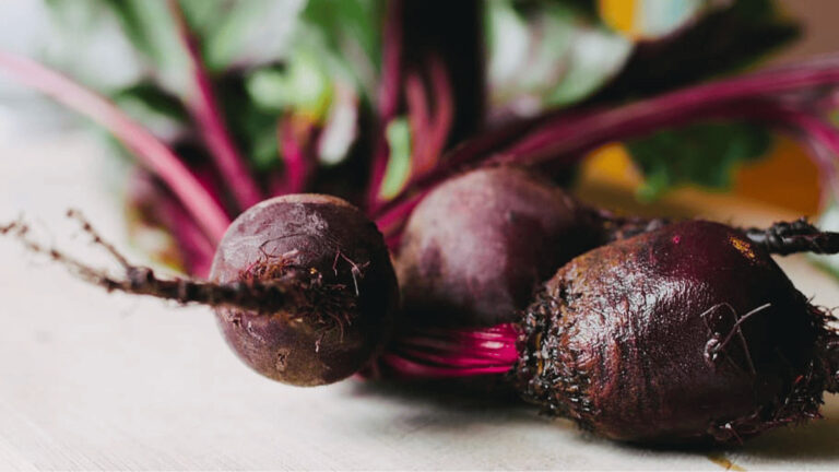 The 15 Best Beet Companion Plants (And 3 To Avoid)