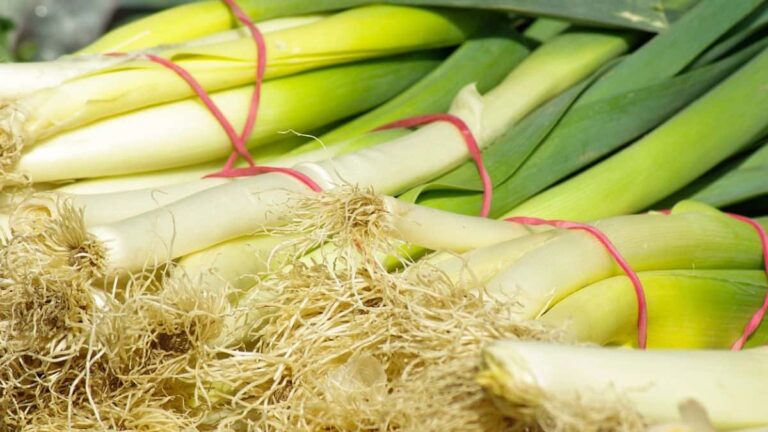 The 10 Best Leek Companion Plants (And 3 To Avoid)